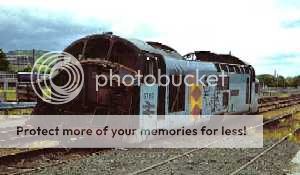 Newbie on forum. - Class 37 Group - RMweb