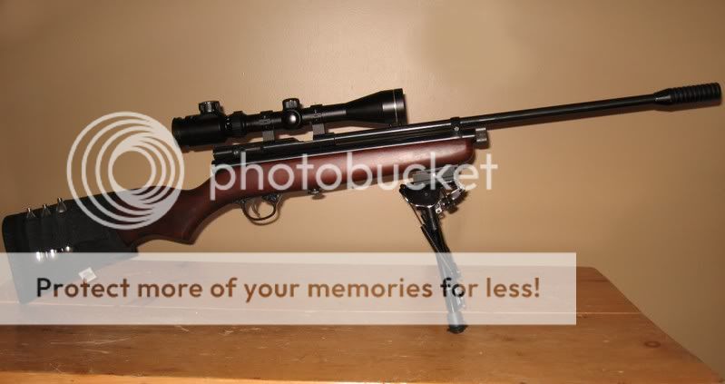 Just another qb78 - Canadian Airgun Forum