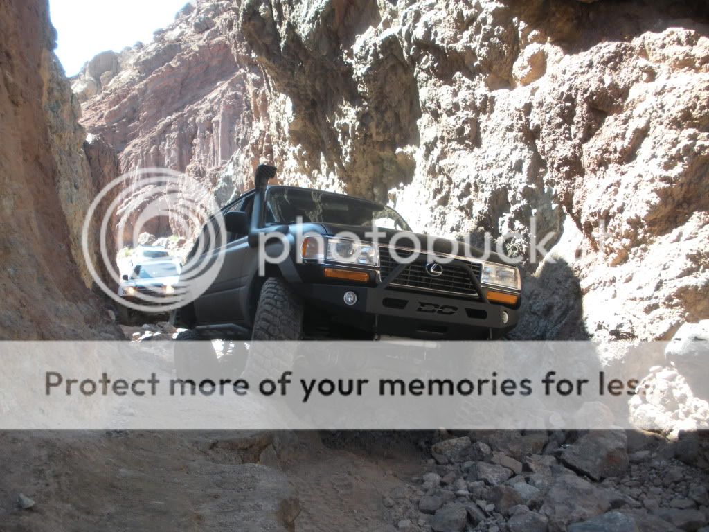 Calico 2011 PICS! | TTORA Forum