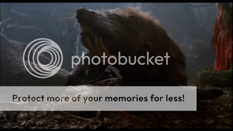 Giant Rat Attacks 4 Cats | NeoGAF