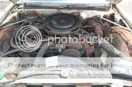 Used Police Interceptors - What Say You? | Page 14 | VW Vortex ...