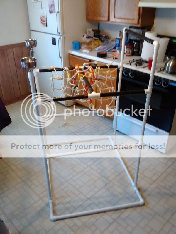 PVC Playstand - Work in Progress | Parrot Forum 🦜 Parrot Owners Community