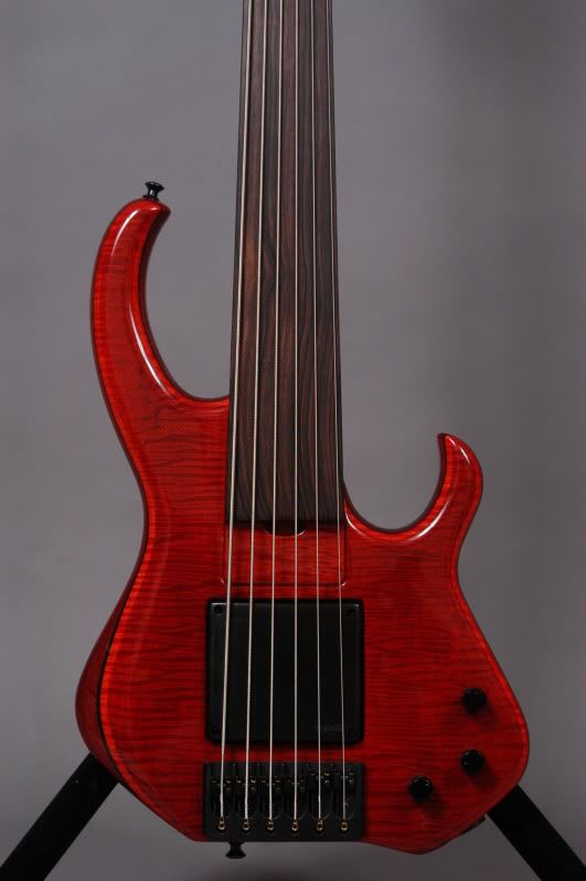 Skjold Custom Series 6-string fretless bass - Bass Instruments ...