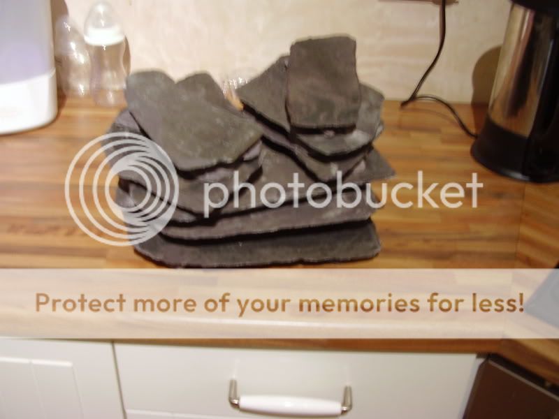 My retes stack attempt | Reptile Forums